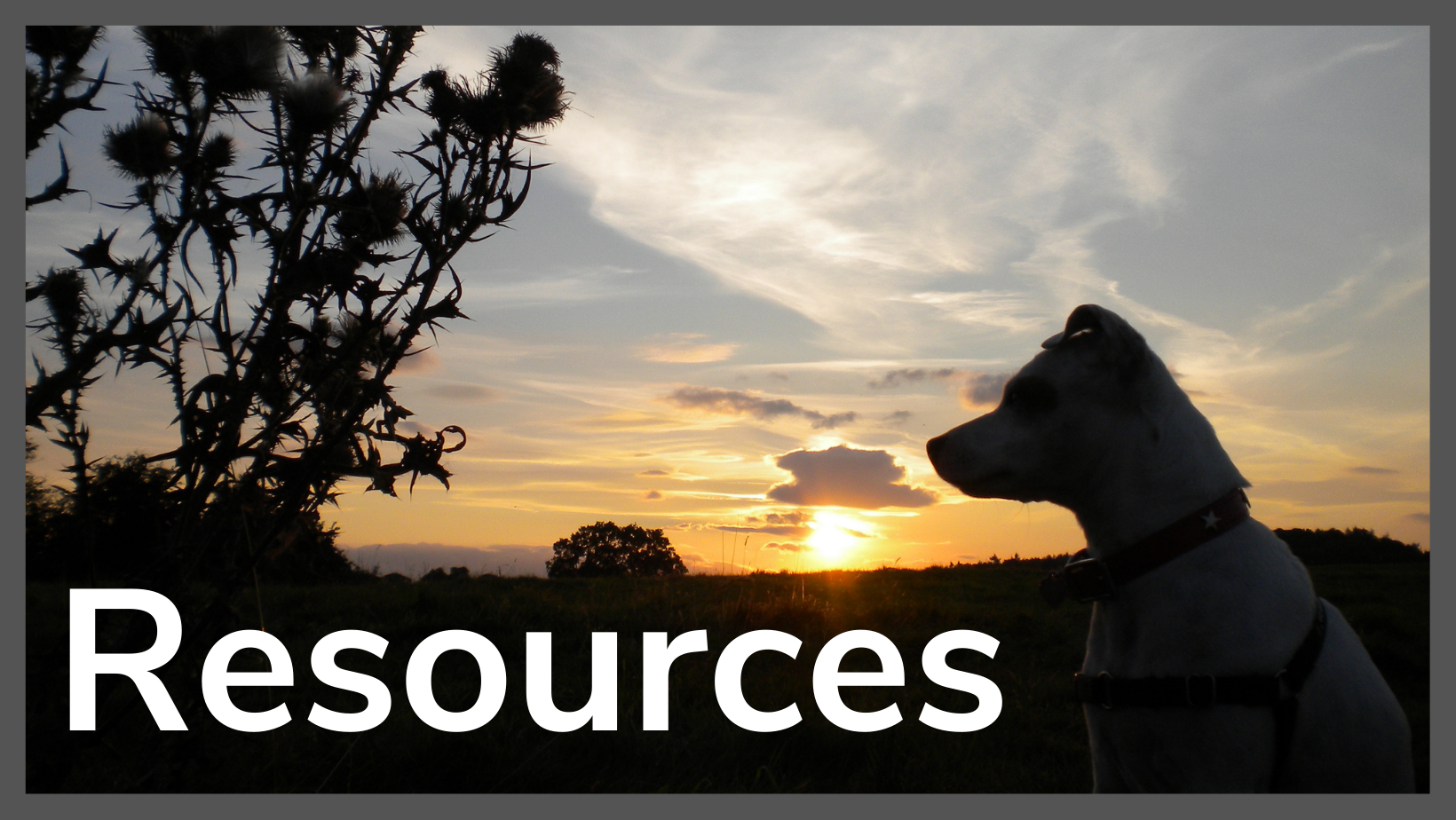 Resources – 4-Legs-Good